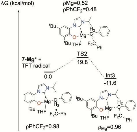 Computed C C Coupling Pathway At 7 Mg Download Scientific Diagram