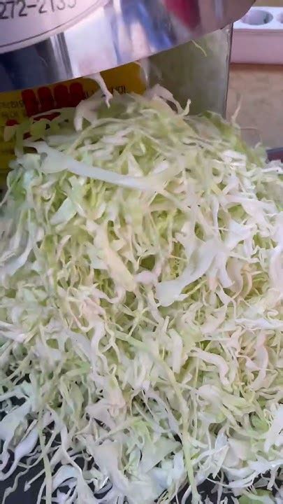 샐러드집이나 고깃집에서 사용하기 좋은 양배추 슬라이스 기계 두께조절 가능 Youtube