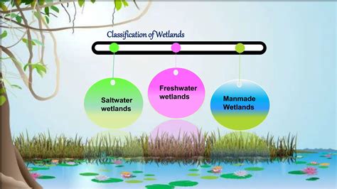 Classification Of Wetlands Presentationpptx22pptx Classification Of Wetlands Presentationpptx22pptx