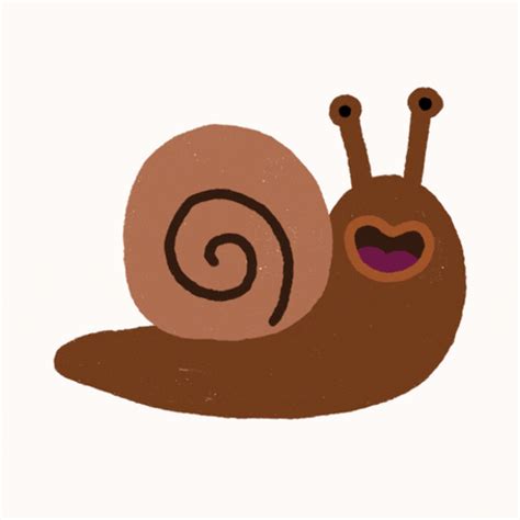 Snail S