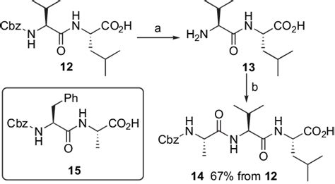 Tripeptide Labeled