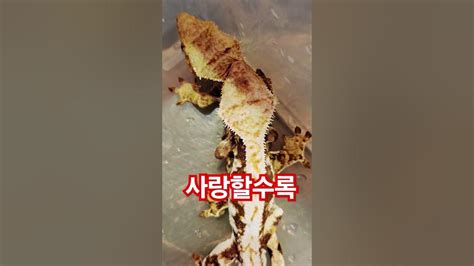 2세는 이쁜 아가들이 나오길 Youtube