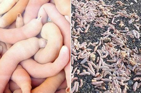 Love Sex Relationship Advice Sex Tips More Daily Star