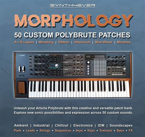 Custom Synth Patches Synth Ever