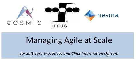 Ifpug Cosmic And Nesma Release The Paper Managing Agile At Scale