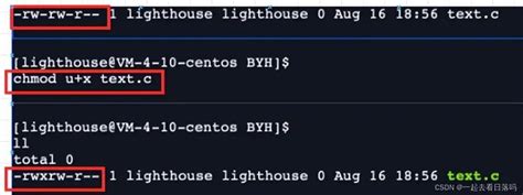 详解shell 运行原理及linux权限 知乎