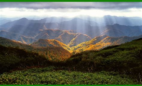 Encoding Of The Dx Film Edge Barcode