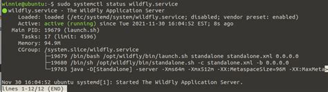How To Install WildFly On Ubuntu 20 04 LinuxWays