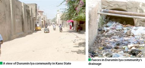 Kano Community Stinks Under Faecal Pollution Caused By Ncos Daily Trust