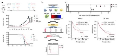 생명연 암 면역치료 효과 높일 새 면역억제 단백질 발굴 파이낸셜뉴스