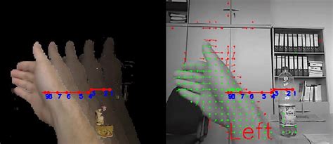 Segmentation Feature Extraction And Classification Example Left Download Scientific Diagram