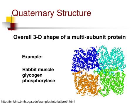 Ppt Myoglobin And Hemoglobin Powerpoint Presentation Free Download Id 2019714