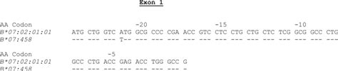 the exon 1 dna sequence of hla‐b 07 458 compared with download
