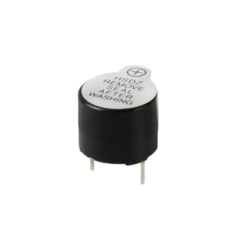 Buy Active Buzzer Pcb 12vdc Electromagnetic Buzzer 12v 12×9 5mm Online In Egypt Micro Ohm