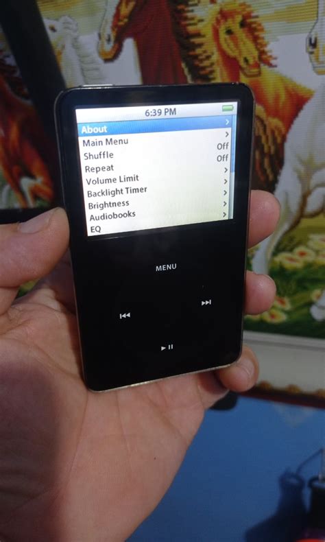 Ipod Classic 30gb 5th Gen On Carousell