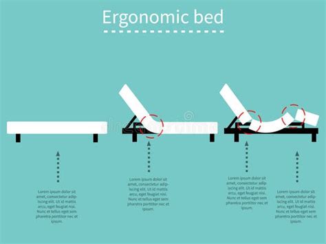 Ergonomic Bed Stock Illustrations 704 Ergonomic Bed Stock Illustrations Vectors And Clipart