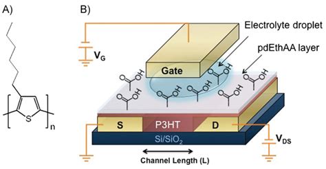 Electronics Free Full Text Electrolytic Gated Organic Field Effect Transistors For