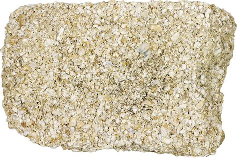 Coquina Properties Formation Compositions Geology Science
