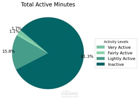 Smartwatch Data Analysis مستقل