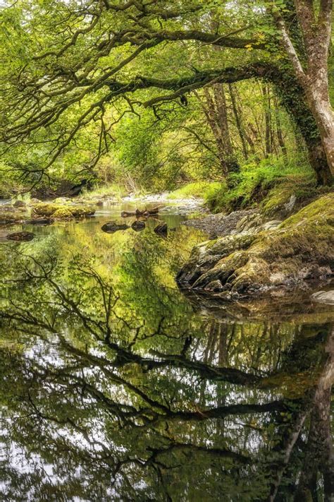 Downstream From Roman Bridge Penmachno Near Betws Y Coed Snowdonia