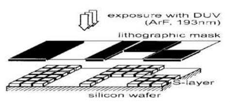 schematic drawing of the partitioning of s layer on the silicon wafer