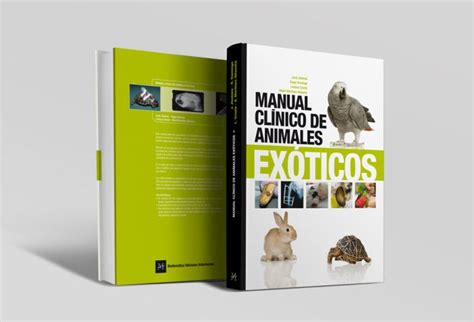 El Laboratorio En El Diagnóstico De La Eritrocitosis En El Perro Clinlabvet Revista Clínica