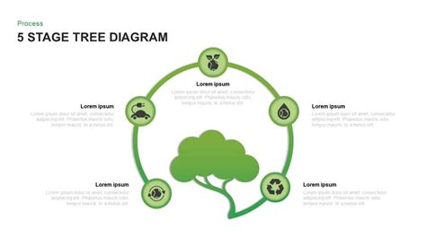 5 Stage Tree Diagram Template For PowerPoint And Keynote