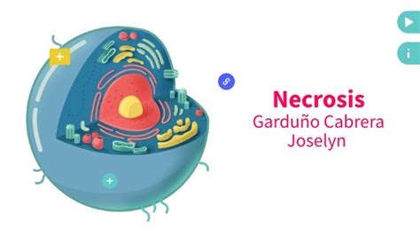 Necrosis Celular Genially