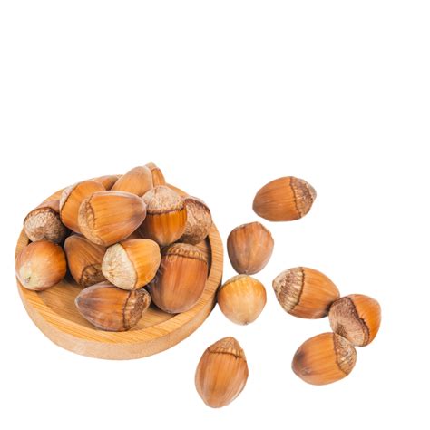 헤이즐넛 말린 견과류 전갈 야생 헤이즐넛 직물 Png 일러스트 및 이미지 에 대한 무료 다운로드 Pngtree