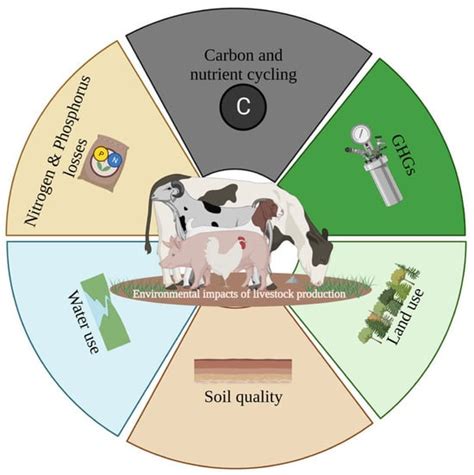 Ecologies Free Full Text Balancing Livestock Environmental Footprints With Forestry Based