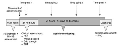 A Flow Diagram Of The Study Procedures Fac Indicates Functional