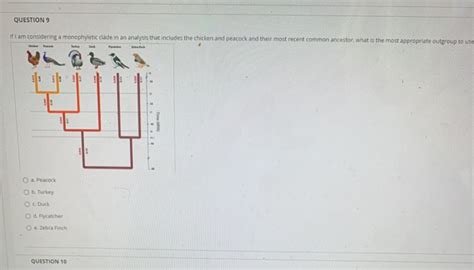 Solved Question 9 If I Am Considering A Monophyletic Clade