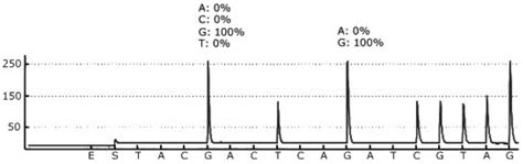 Pyrophosphoric Acid Sequencing Method Combined With Fluorogenic