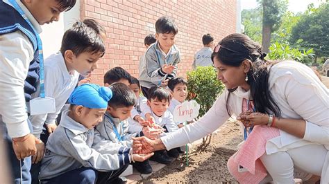 Seed Sowing Activity Class Kg St Kabir Public School