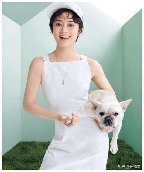 女演员孙俪个人资料 人物集