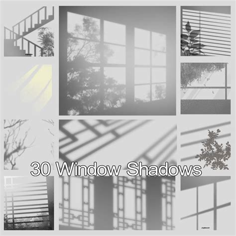 Window Shadows Photoshop Overlays Windows Shadows Plants Etsy