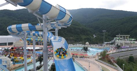 K Pop 공연부터 불꽃쇼까지···하이원리조트 매일 이벤트 진행