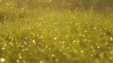 Peris Muthoni Mwangi On Linkedin Deep Cleaning Laundry Solution