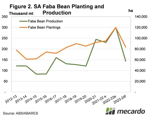 Faba Bean Production Waning Mecardo