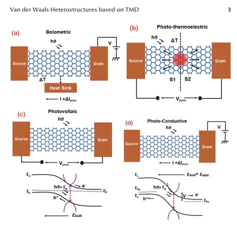 vdw based photodetectors