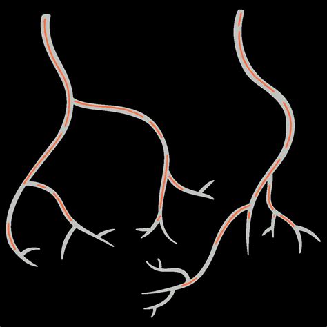Enfd Test For Small Fiber Peripheral Neuropathy