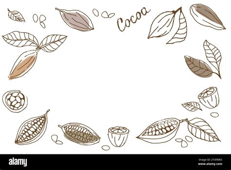 Cocoa Tree Elements Isolated On White Background Stock Vector Image And Art Alamy