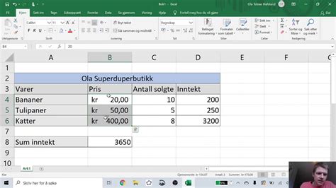 innføring excel youtube