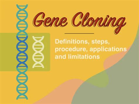 Gene Cloning Definitions Steps Procedure Applications And