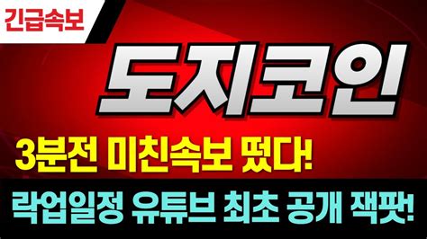 도지코인 와 강아지밈코인 300조 물량 터졌다 난리났다 역대급 대폭등랠리 여기서 미친듯이 날아갑니다 영혼까지 수익