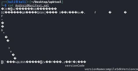 ApktoolAndroid APK 逆向与重编译利器 Apktool详细教程 Kali linux Termux 黑客教程 哔哩哔哩