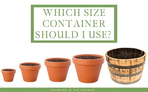 Guide To Container Sizes Which Size Container Should I OFF