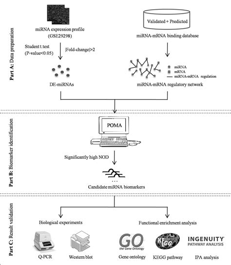 Schematic Pipeline Of This Study Download Scientific Diagram