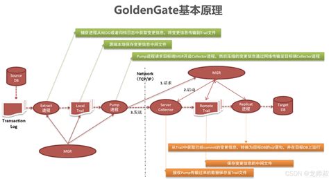 Oracle19c通过ogg同步数据到oracle12c配置说明【整理版】oracle 19c 多租户数据库 Ogg 同步 Csdn博客